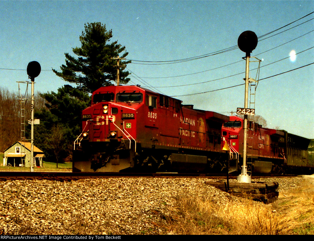 Split down the middle